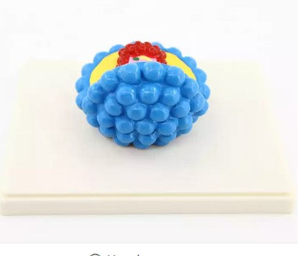 Model of Aids-Virus QH3221-13 نموذج فيروس الإيدز – SMARTQAT